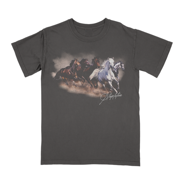 Chris Stapleton 2025 Tour Collection | Official Merch